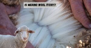 Is Merino Wool Itchy? The Truth About This Super-Soft Fabric