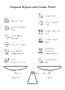 Alpaca vs. Llama Wool: Which is Softer, Warmer, and Better?